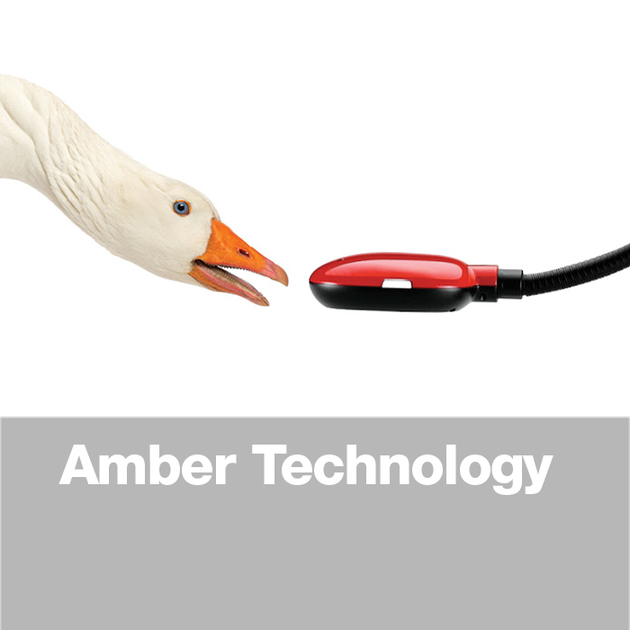 Amber Technology - Big Picture